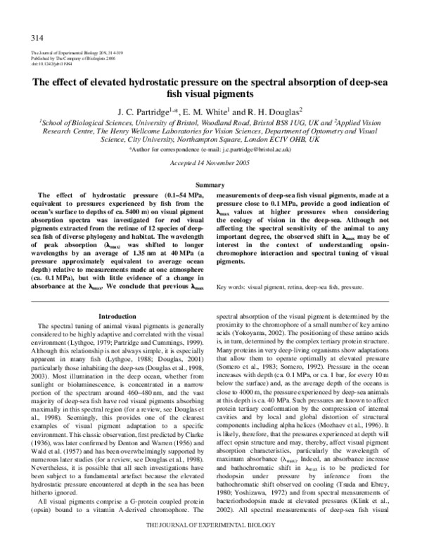 (PDF) The effect of elevated hydrostatic pressure on the spectral absorption of deep-sea fish ...