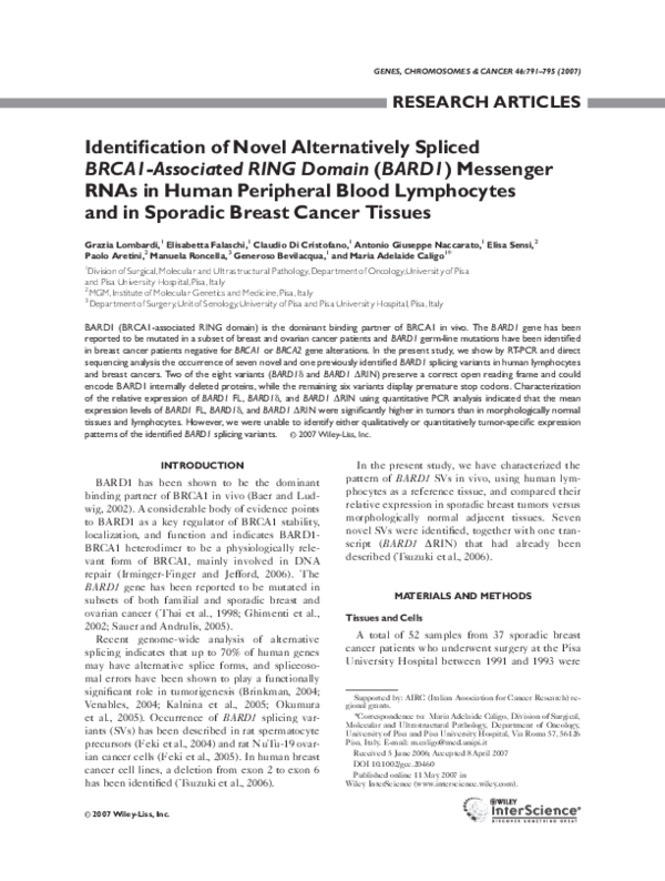 Pdf Identification Of Novel Alternatively Splicedbrca1 Associated