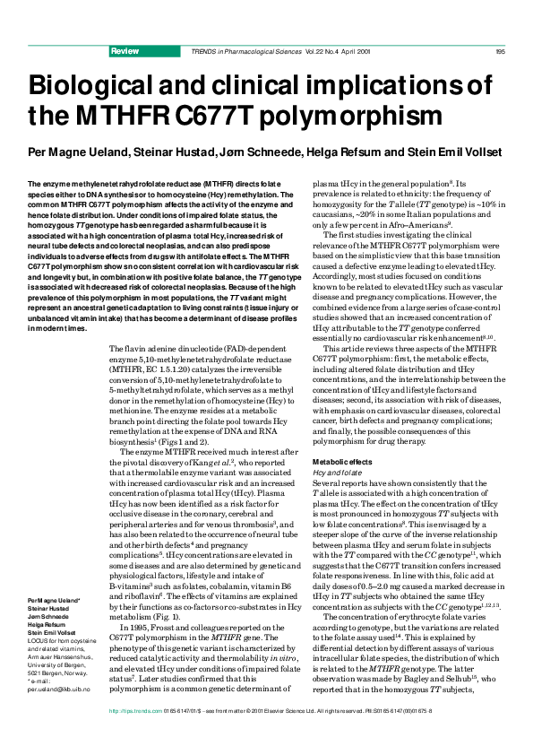 (PDF) Biological and clinical implications of the MTHFR C677T polymorphism