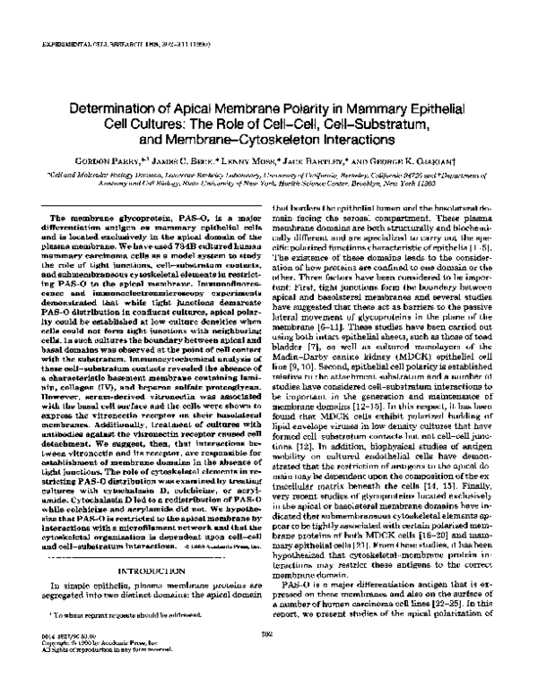 (PDF) Determination of apical membrane polarity in mammary epithelial ...