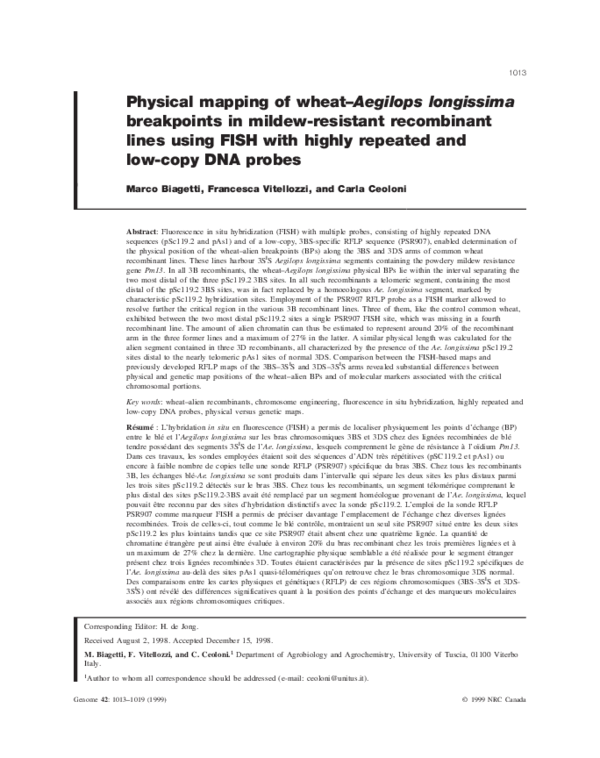 (PDF) Physical mapping of wheat- Aegilops longissima breakpoints in mildew-resistant recombinant ...