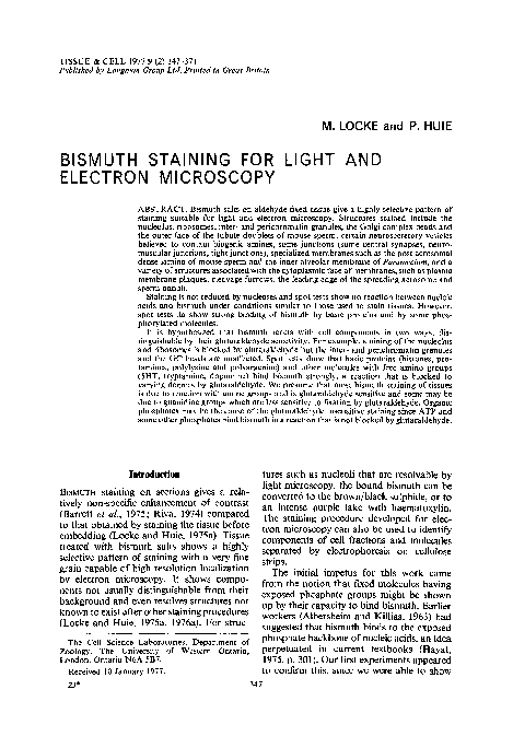 (PDF) Bismuth staining for light and electron microscopy