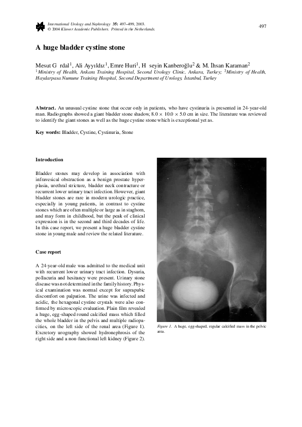 (PDF) A huge bladder cystine stone