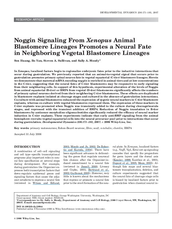 (PDF) Noggin signaling fromXenopus animal blastomere lineages promotes ...