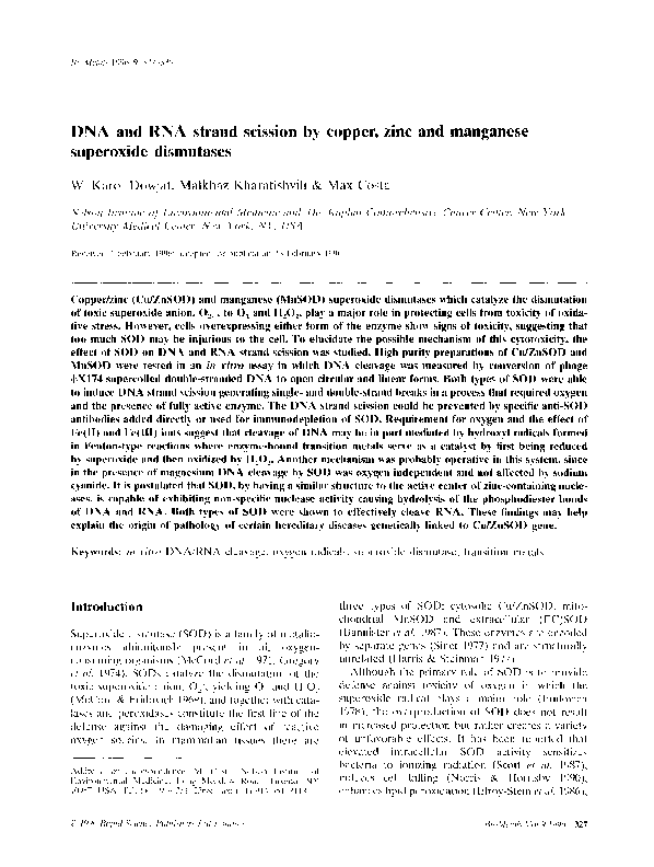 (PDF) DNA and RNA strand scission by copper, zinc and manganese ...