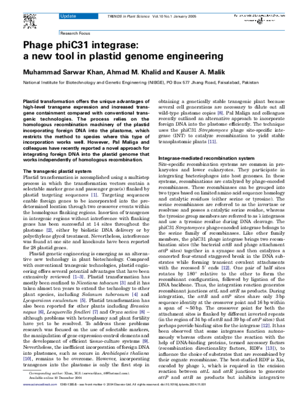 (PDF) Phage phiC31 integrase: a new tool in plastid genome engineering