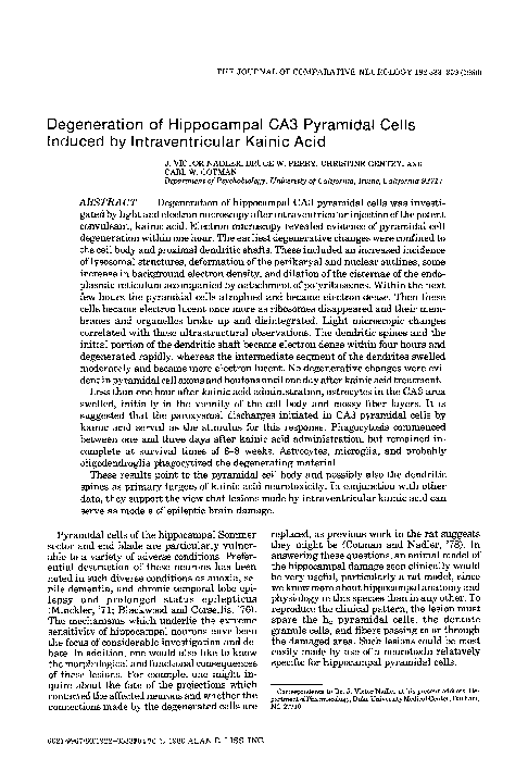(PDF) Degeneration of hippocampal CA3 pyramidal cells induced by ...