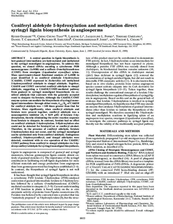 (PDF) Coniferyl Aldehyde 5Hydroxylation and Methylation Direct Syringyl ...
