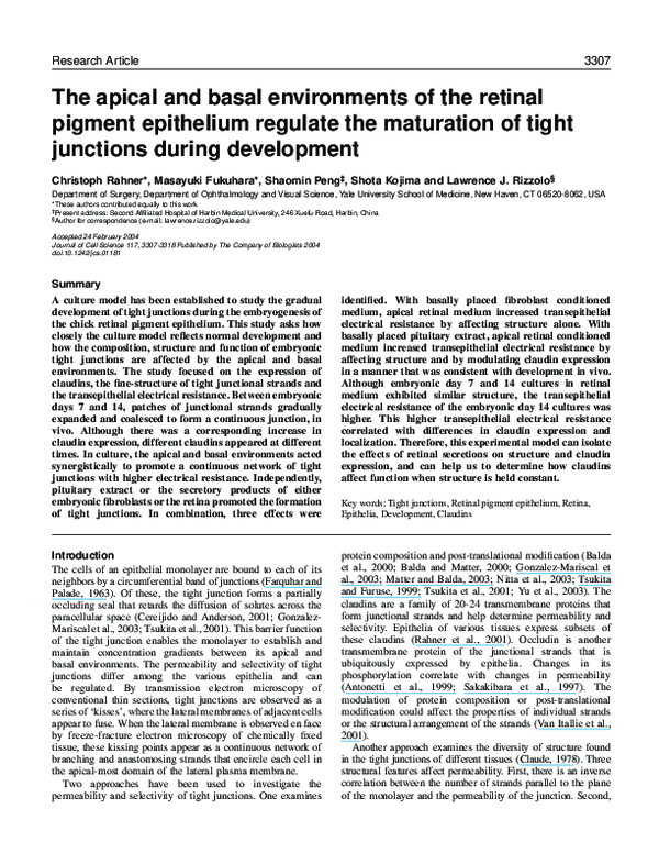 (PDF) The apical and basal environments of the retinal pigment ...