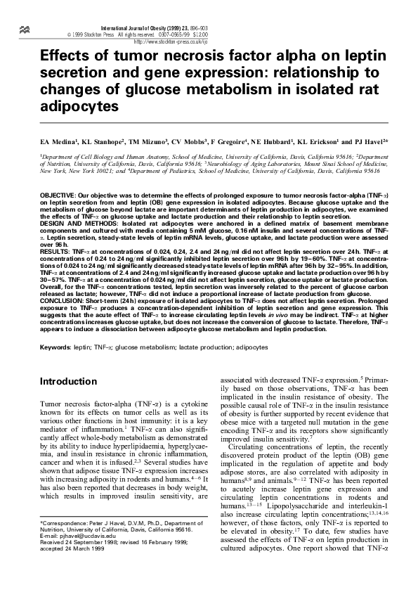 (PDF) Effects of tumor necrosis factor alpha on leptin secretion and ...