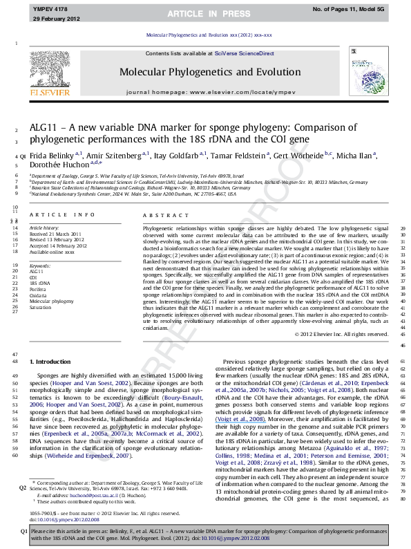 (PDF) ALG11 – A new variable DNA marker for sponge phylogeny ...