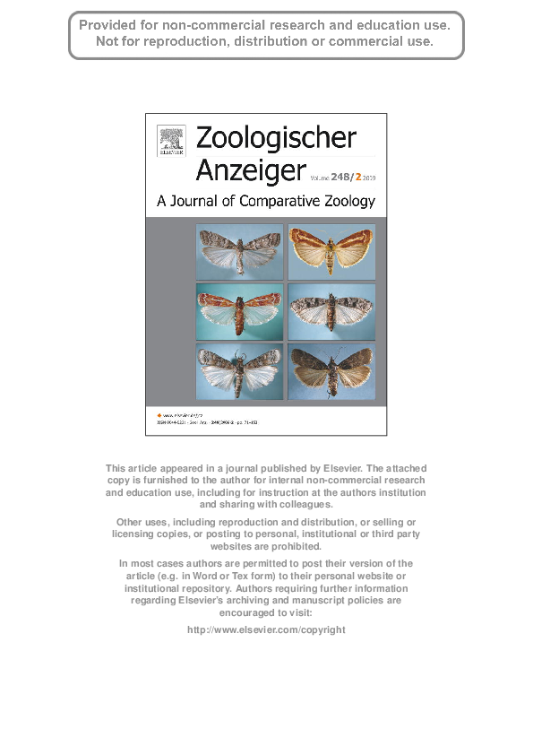 (PDF) The subterranean genus Niphargus (Crustacea, Amphipoda) in the ...