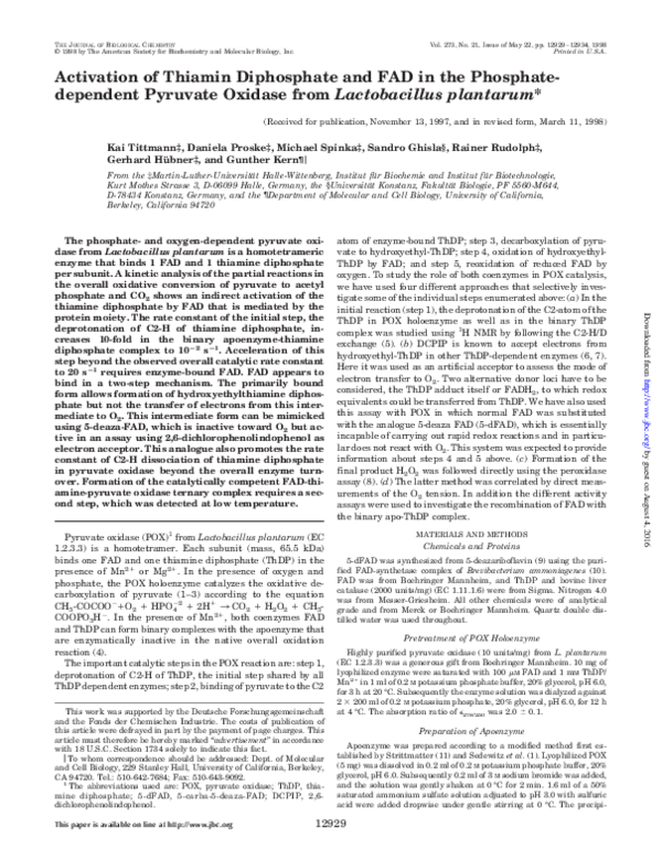 (PDF) Activation of Thiamin Diphosphate and FAD in the ...
