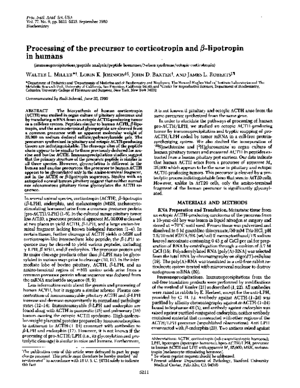 (PDF) Processing of the Precursor to Corticotropin and beta Lipotropin ...