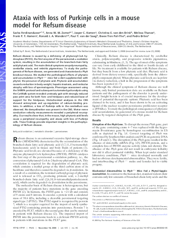 (PDF) Ataxia with loss of Purkinje cells in a mouse model for Refsum ...