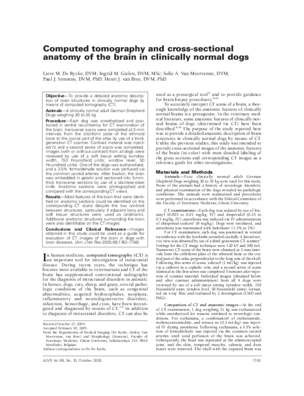 (PDF) Computed tomography and cross-sectional anatomy of the brain in ...