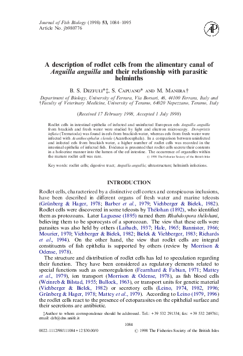(PDF) A description of rodlet cells from the alimentary canal of ...