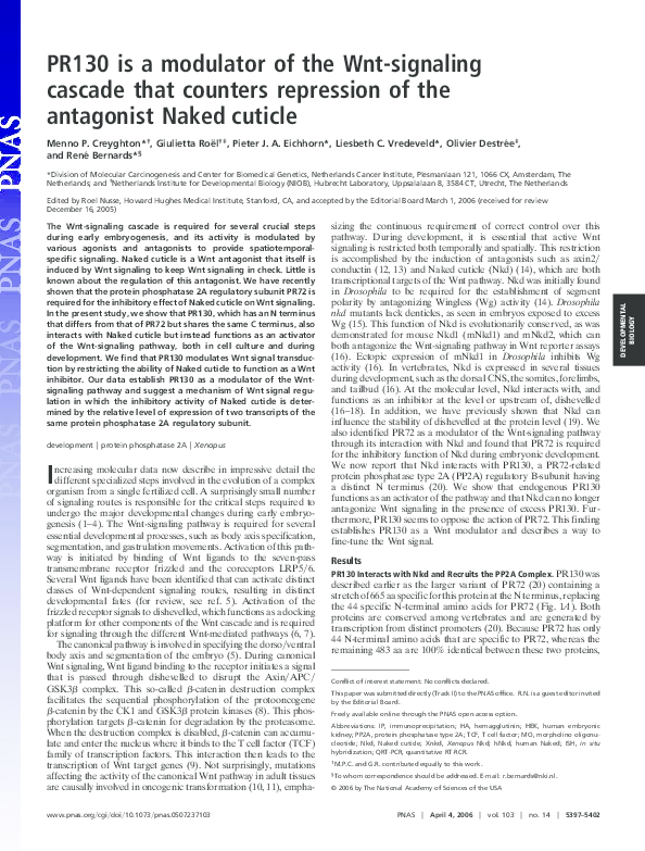 (PDF) PR130 is a modulator of the Wnt-signaling cascade that counters ...