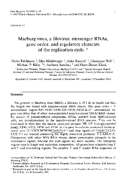(PDF) Marburg virus, a filovirus: méssenger RNAs, gene order, and ...