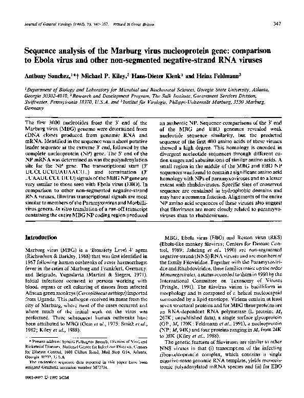 (PDF) Sequence analysis of the Marburg virus nucleoprotein gene ...