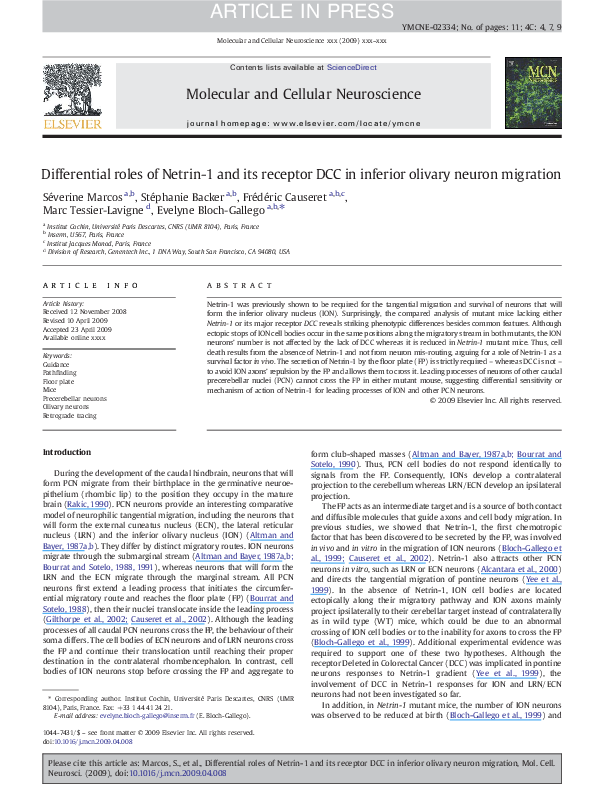 (PDF) Differential roles of Netrin-1 and its receptor DCC in inferior ...