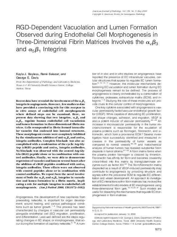 (PDF) RGD-Dependent Vacuolation and Lumen Formation Observed during ...