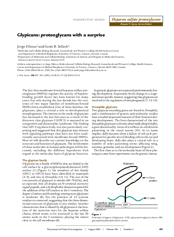 (PDF) Glypicans: proteoglycans with a surprise