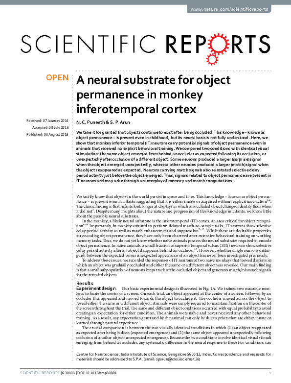(PDF) A neural substrate for object permanence in monkey inferotemporal cortex