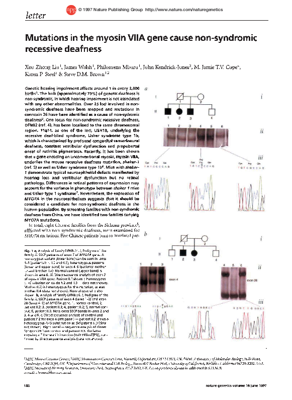 (PDF) Mutations in the myosin VIIA gene cause non-syndromic recessive ...