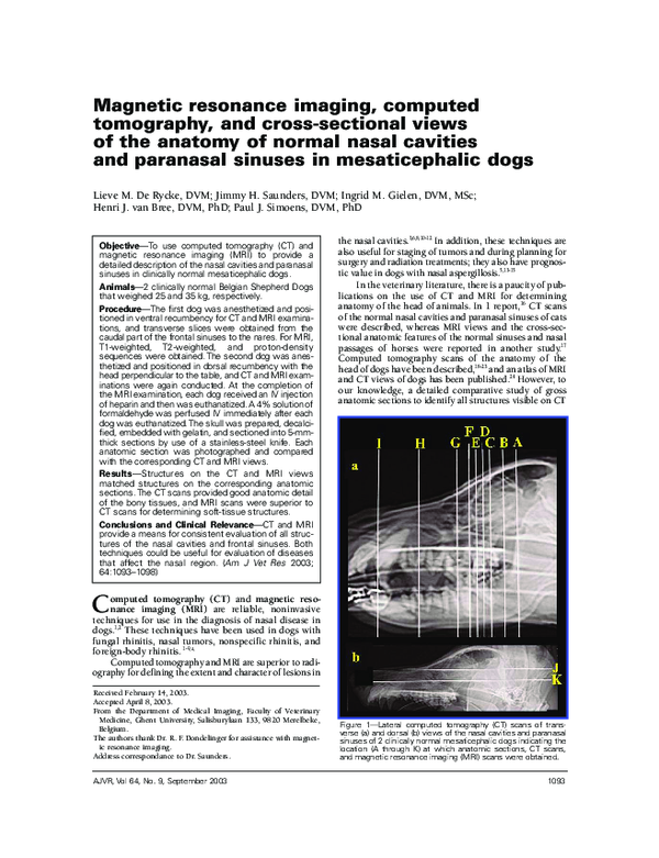 (PDF) Topography of the rabbit paranasal sinuses as a prerequisite to ...