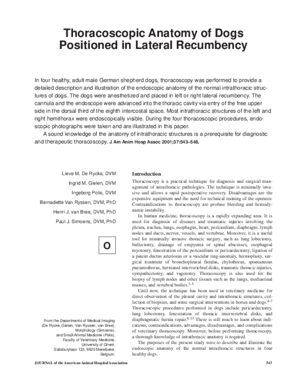 (PDF) Thoracoscopic anatomy of dogs positioned in lateral recumbency