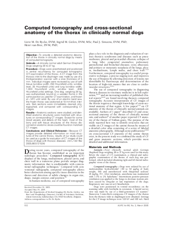(PDF) 2005 CT thorox AJVR