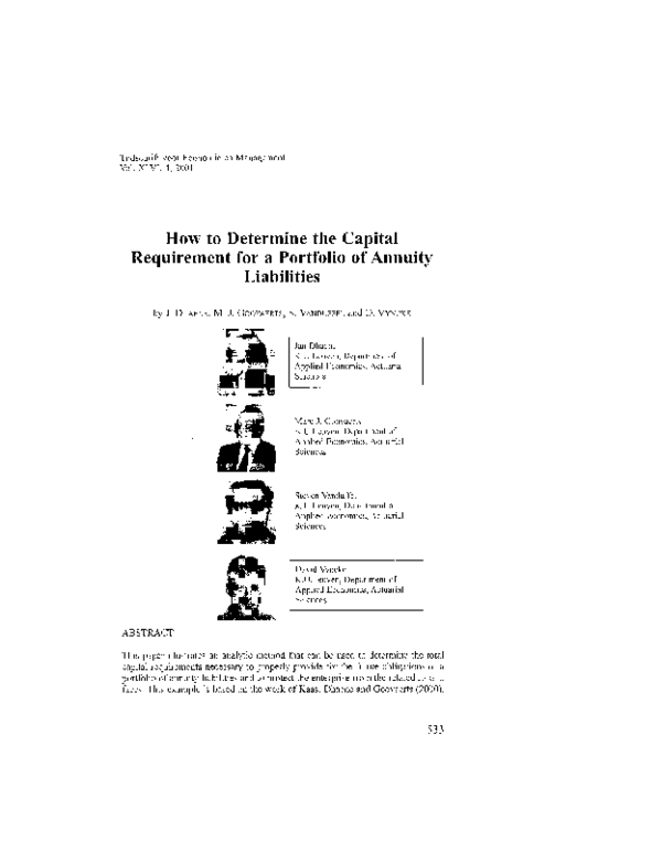 (PDF) How to Determine the Capital Requirement for a Portfolio of ...