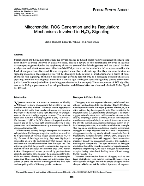(PDF) Mitochondrial ROS generation and its regulation Mechanisms ...