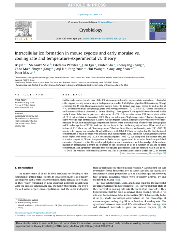(PDF) Intracellular ice formation in mouse zygotes and early morulae vs ...