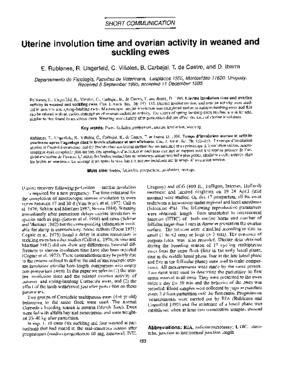 Uterine Involution Time And Ovarian Activity In Weaned And Suckling Ewes