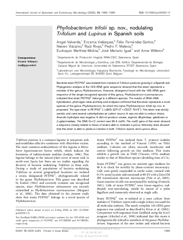 (PDF) Phyllobacterium trifolii sp. nov., nodulating Trifolium and ...