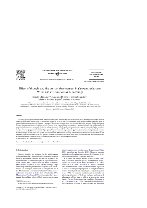 (PDF) Effect of drought and fire on root development in Quercus ...