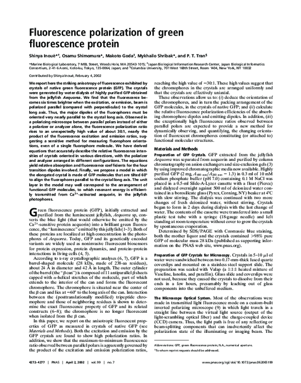 (PDF) Fluorescence polarization of green fluorescence protein