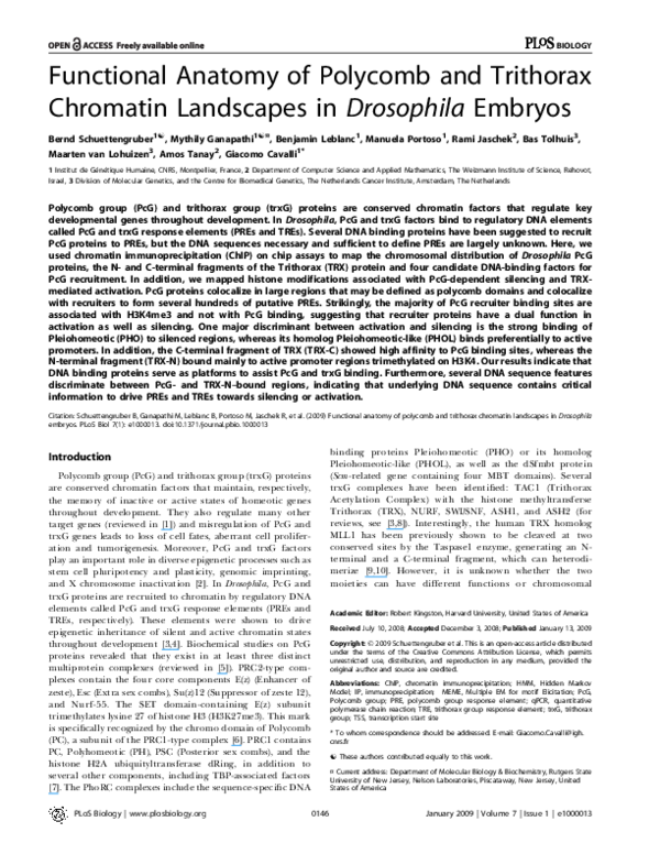 (PDF) Functional Anatomy of Polycomb and Trithorax Chromatin Landscapes ...