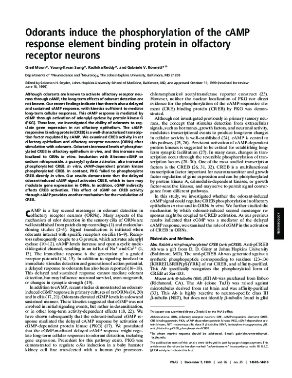 (PDF) Cellular Mechanisms of Olfactory Signal Transduction | Daniela Brunert - Academia.edu