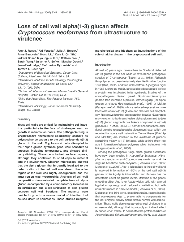 (PDF) KREgenes are required for β-1,6-glucan synthesis, maintenance of ...