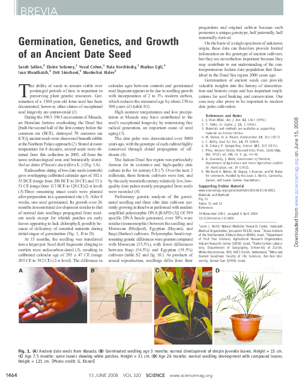 (PDF) Germination, Genetics, and Growth of an Ancient Date Seed