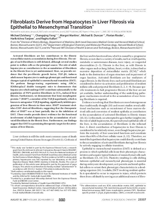 (PDF) Fibroblasts Derive from Hepatocytes in Liver Fibrosis via ...