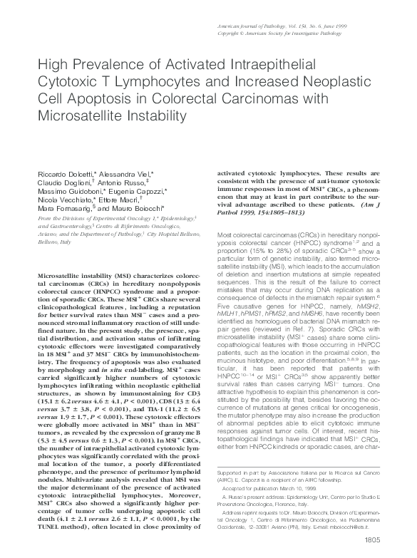 (PDF) High Prevalence of Activated Intraepithelial Cytotoxic T ...