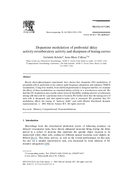 (PDF) Dopamine modulation of prefrontal delay activity-reverberatory ...
