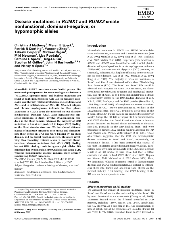 Pdf Disease Mutations In Runx1 And Runx2 Create Nonfunctional