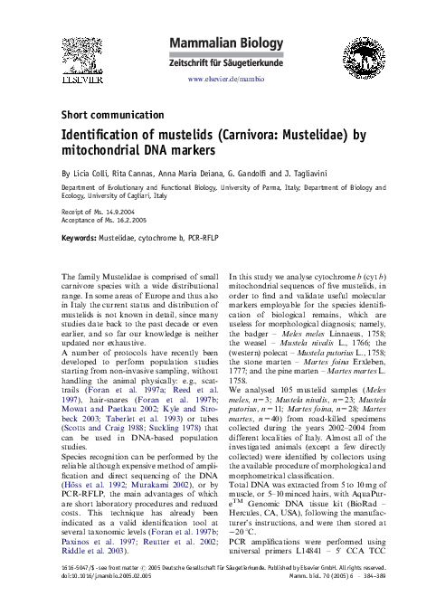 (PDF) Identification of mustelids (Carnivora: Mustelidae) by ...