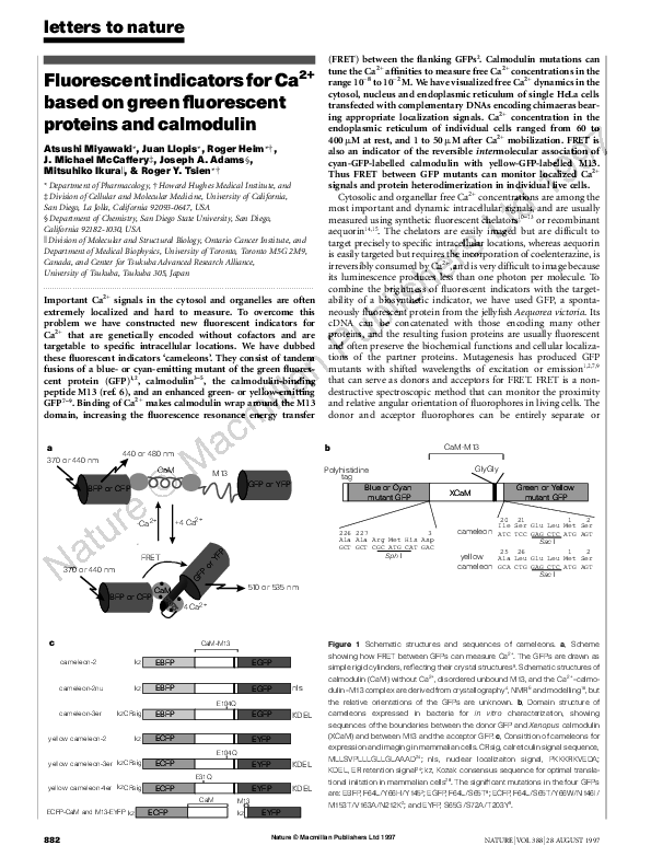 (PDF) Fluorescent indicators for Ca2+based on green fluorescent ...