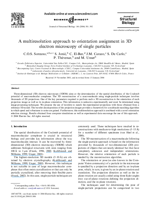 (PDF) A multiresolution approach to orientation assignment in 3D electron microscopy of single ...